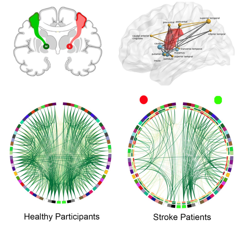 SFB 936 Multi-site communication in the brain - CSI